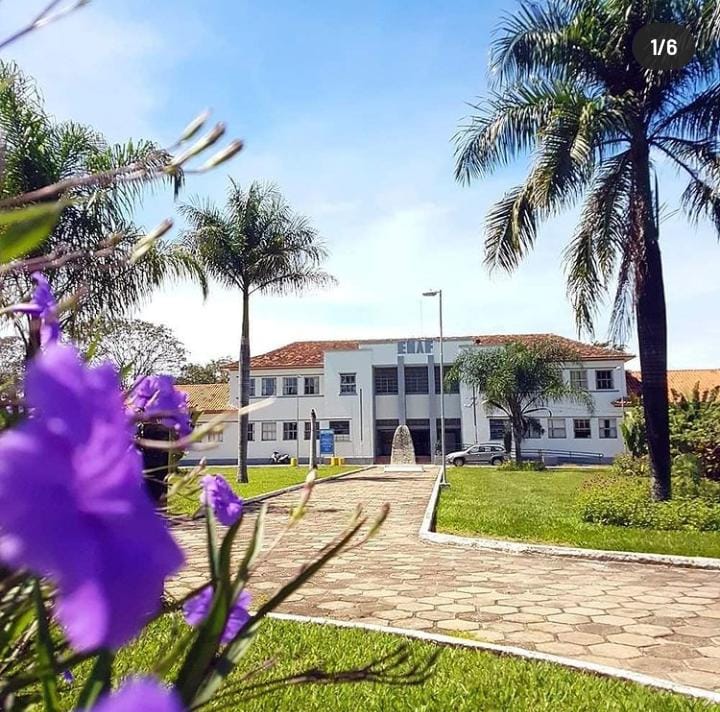 UFV-Florestal/Cedaf | Serviço de Comunicação Institucional